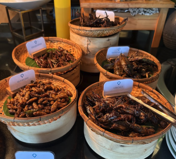 Emerald Mekong River Cruise Review | RoundAbout Travel New Zealand